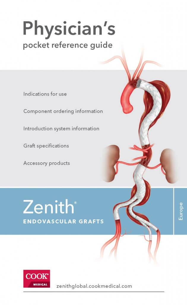 Accessories product portfolio: an important component of a successful ...