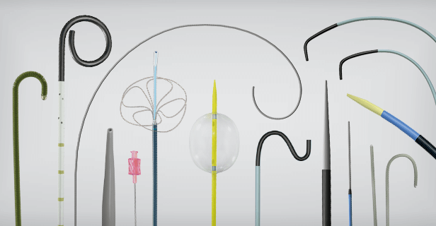 Accessories product portfolio: an important component of a successful ...