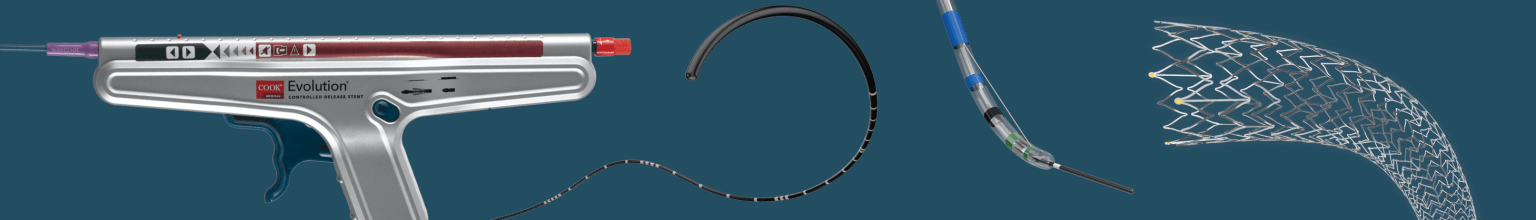 Biliary Access and Therapy | Cook Medical